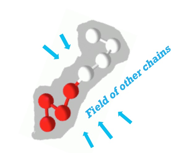 Scmf Single Chain Mean Field Theory Itn Snal Marie Curie Initial